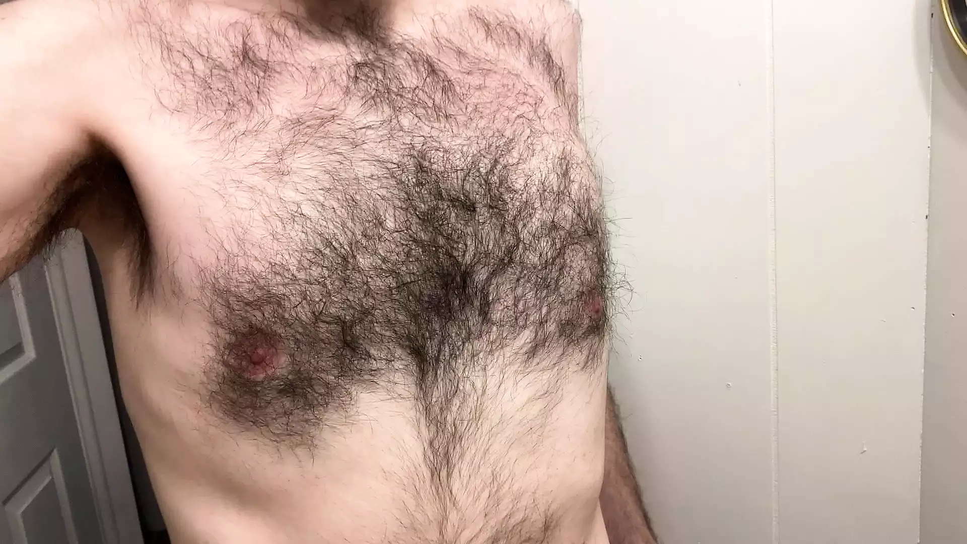 Showing off My very Hairy Chest: American Gay Porn by FapHouse | xHamster