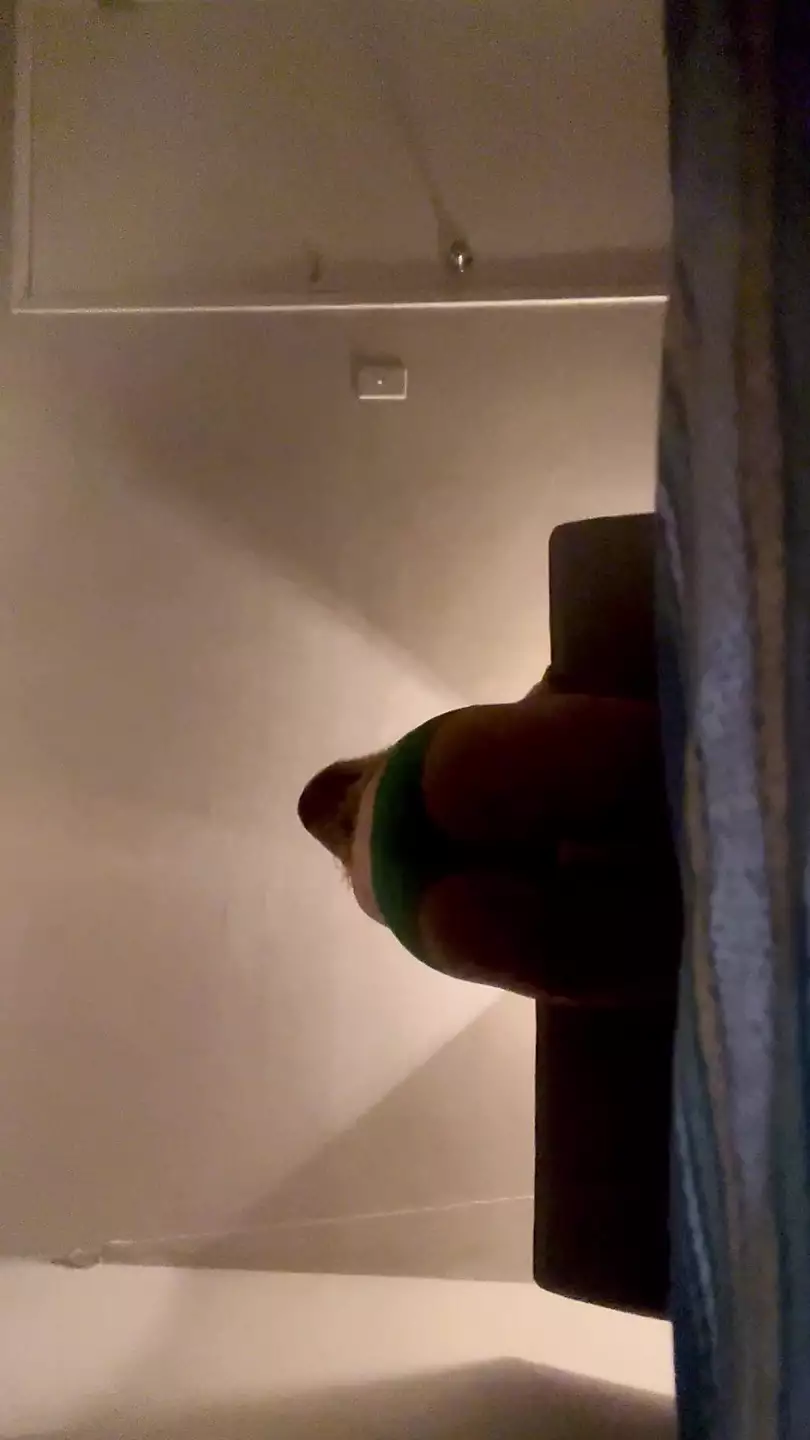Maxxxine Vídeos De Creadores De Porno Desnudos Amadores Gratis Xhamster