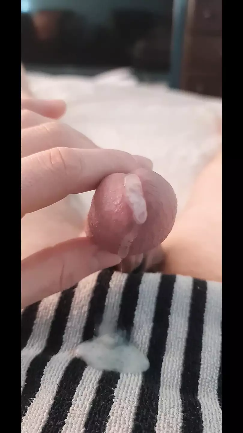 Cumshot compilatie 4 grote geaderde pik close-up pov | xHamster