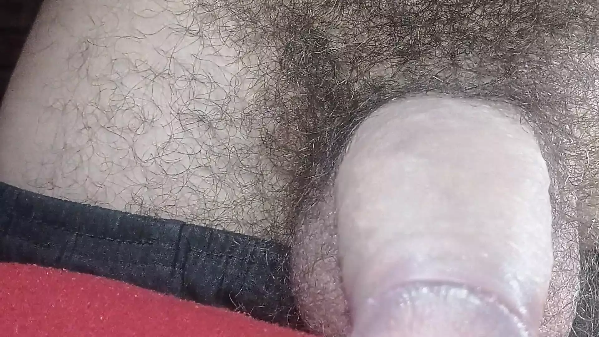 Porno colomiano grande pene me.como mi leche | xHamster