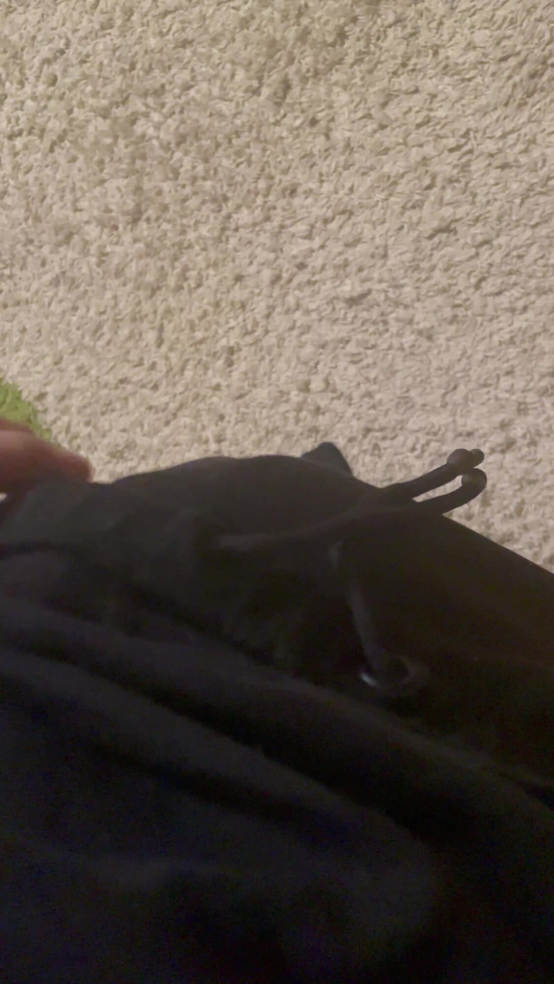 Can You Lend Me Your Mouth For My Hard Cock Gay Young Porn Feat Meier