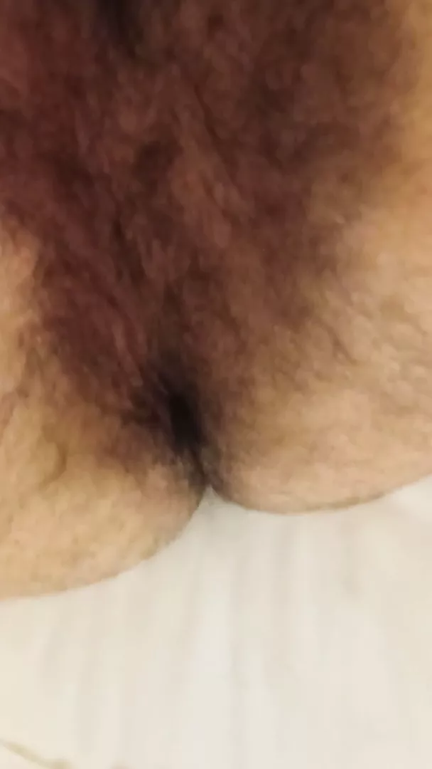 Aisselle poilue, sexe poilu, trans | xHamster