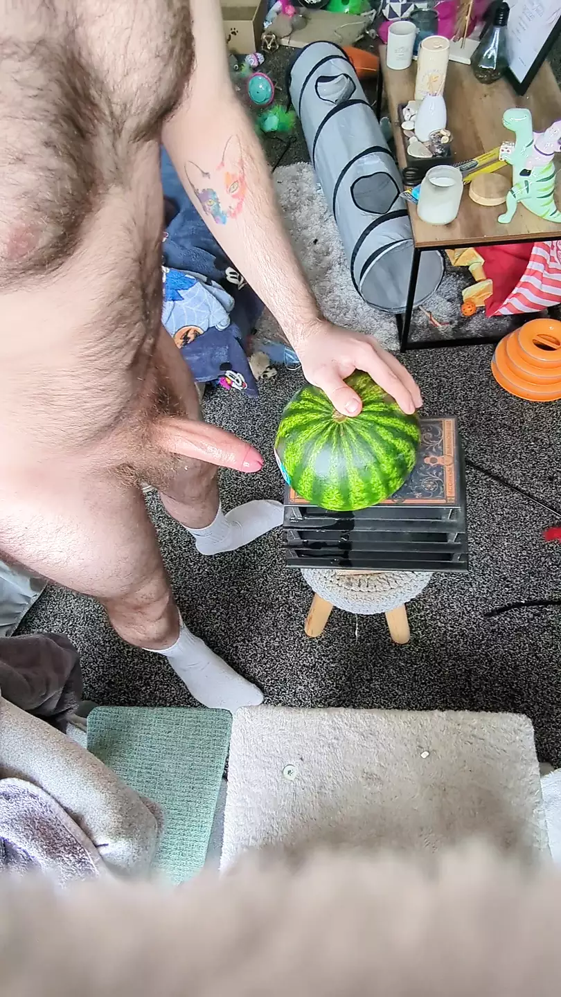 Jerking Off Using A Watermelon British Gay Big Cock Big Cock Porn