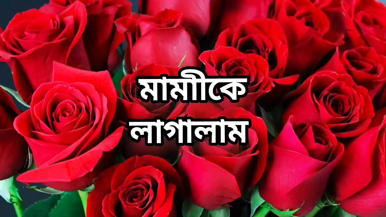 Free Bangla Sex Porn Videos 2 Xhamster