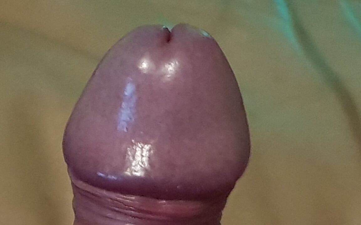 My Husband is Playing with His Little Cock in Bed He is Waiting for Me to Come and Suck on His ...