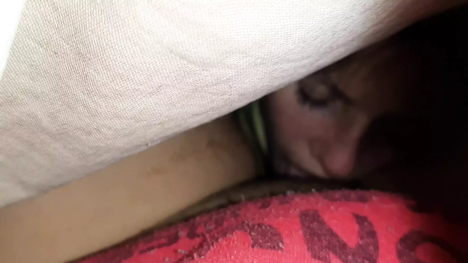 My Girlfriend Woke Me Up With Cunnilingus In A Tent On Halloween Night