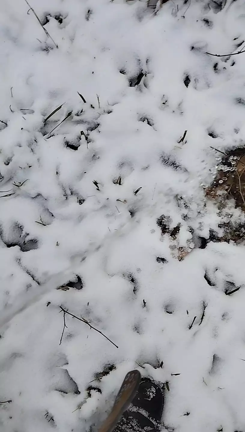 Piss Piss and One Cum: Gay Amateur Amateur Porn feat. Bayer911 by FapHouse | xHamster