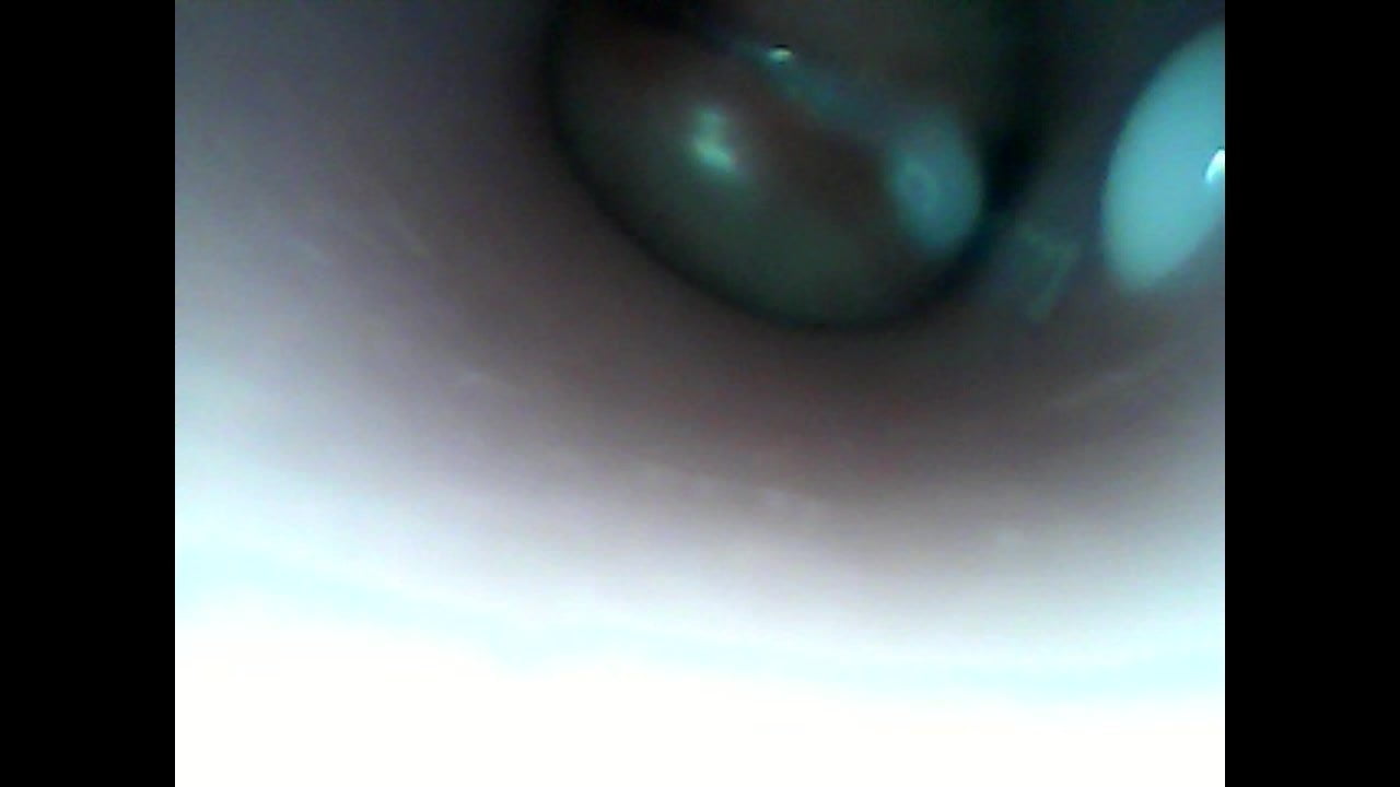 Cum Inside A Flashlight Xhamster 3459