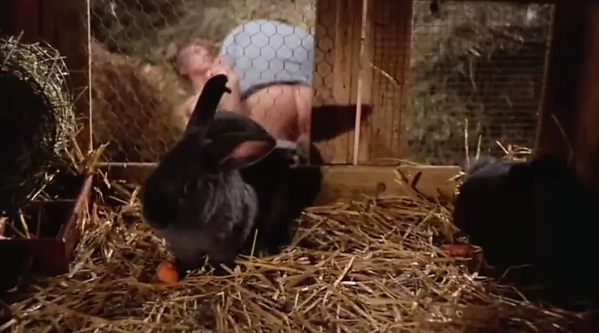 Farmer Porn Videos Hot Sex In The Barn Xhamster