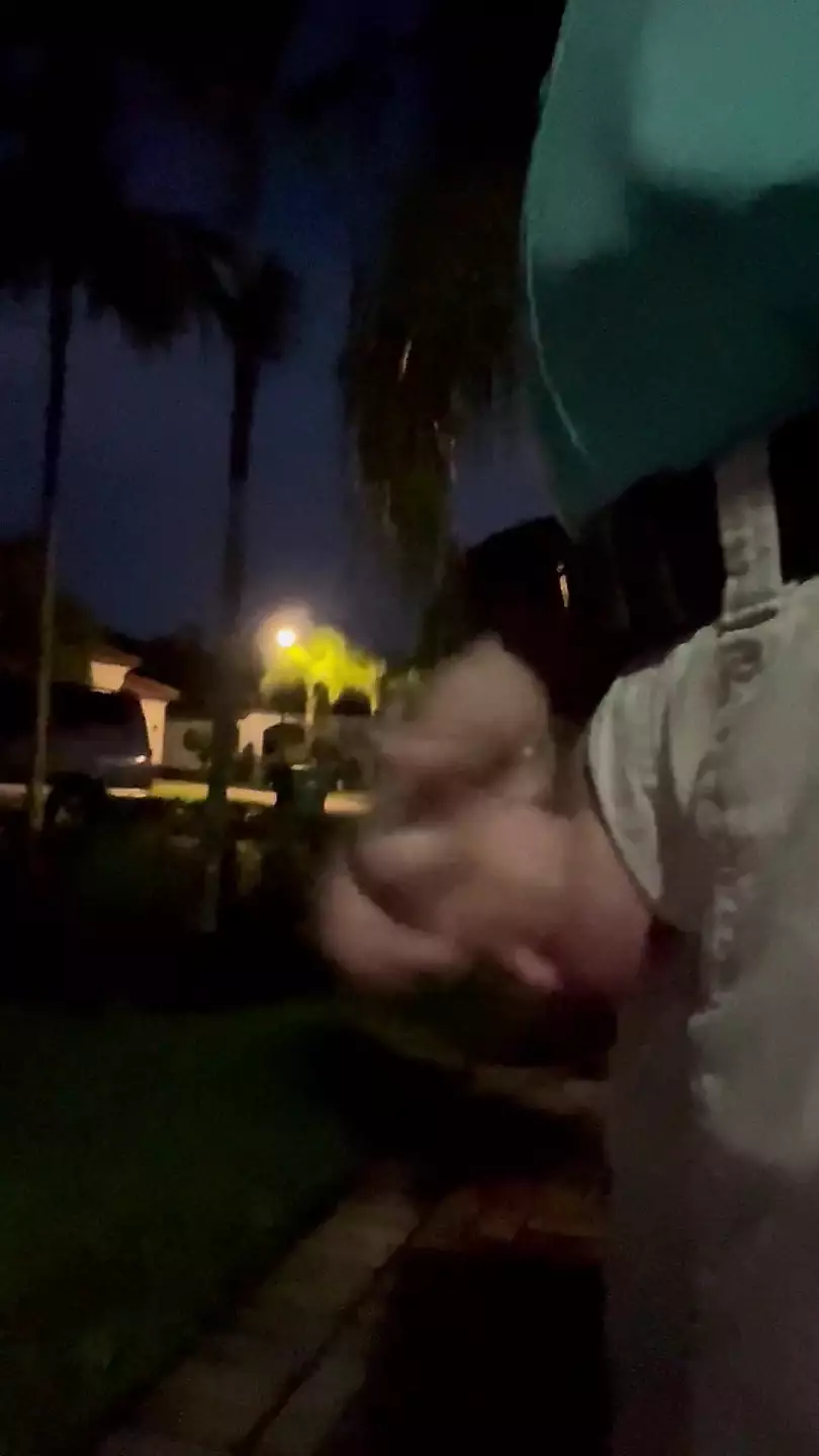 Another Trash Day Flash: Gay Mature Masturbation Porn | xHamster