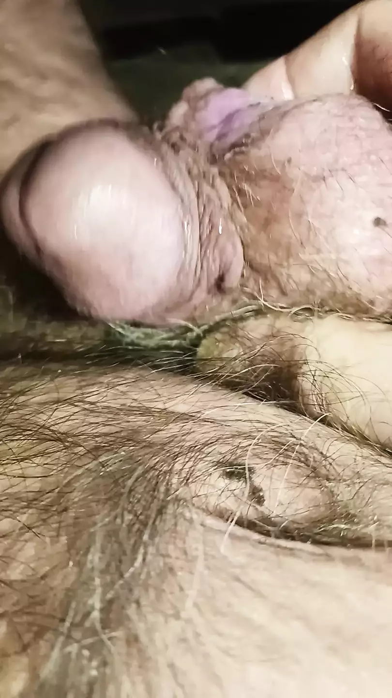 Tiny Cock: Free Gay Small Cock HD Videos Porn Video 00 | xHamster