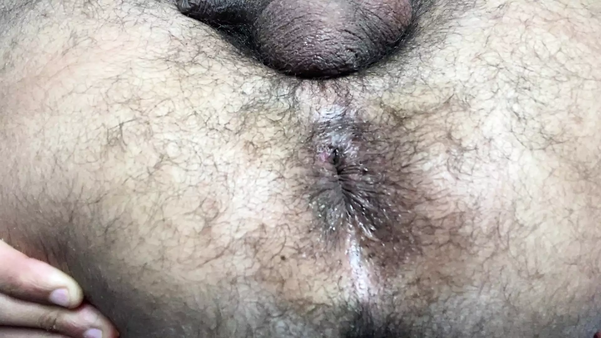 Daddy Bareback Twerk Big Ass Hot Gay Porn Feat Damien Custo Xhamster