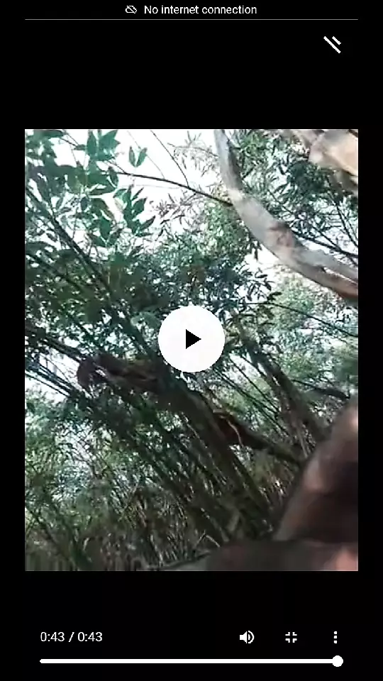 El semen salió por sacudir el pene El semen tiene que ser tomado sacudiendo el pene | xHamster