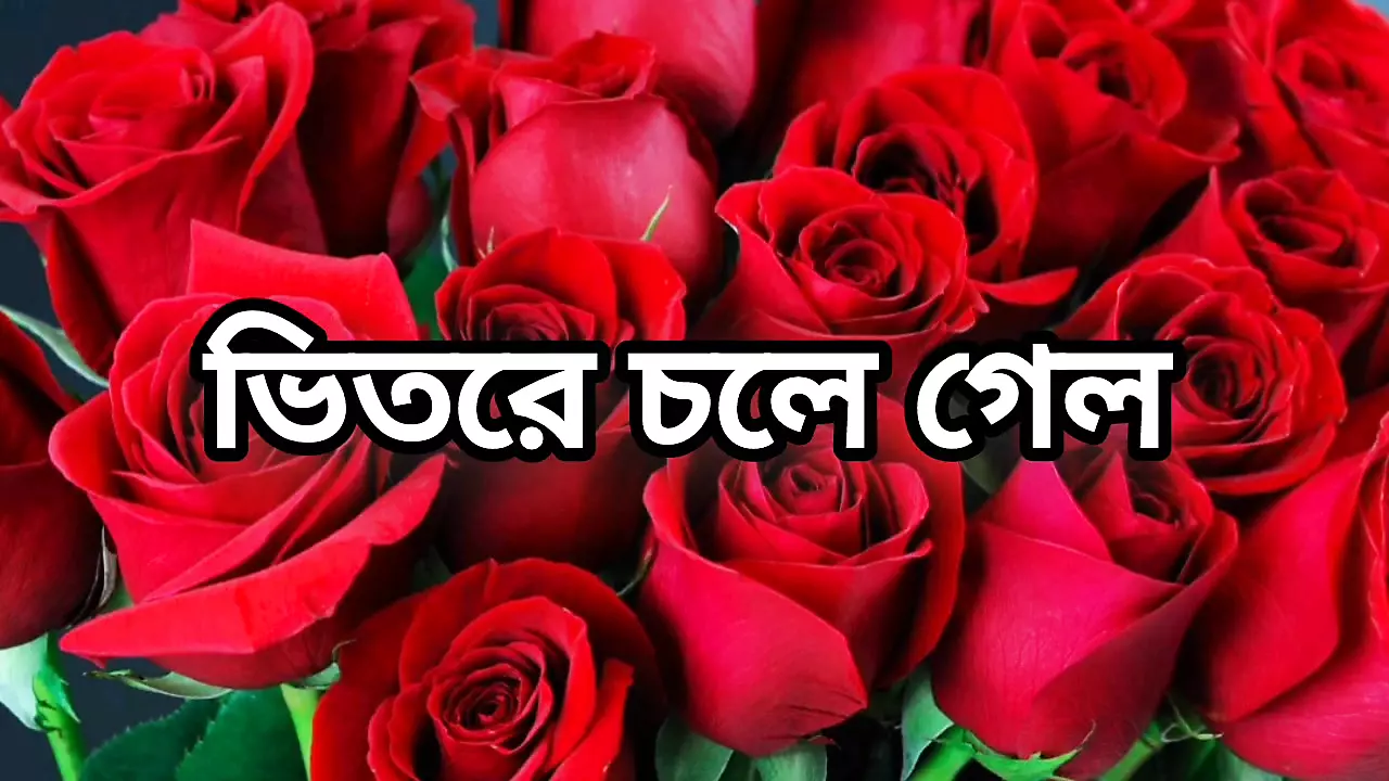 Bangla Choto Golpo Beautiful Sex Story Hot Choti Golpo In Bangla Audio