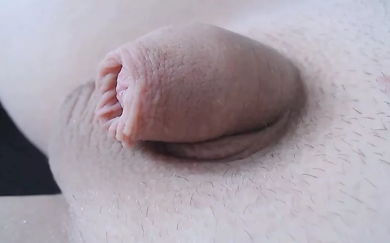 Little Penis Shemale Porn Xhamster