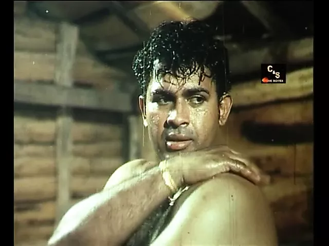 Mohothin Mohotha Sinhala Movie Ranjan Ramanayaka Sri Lankan Hardcore Porn Xhamster