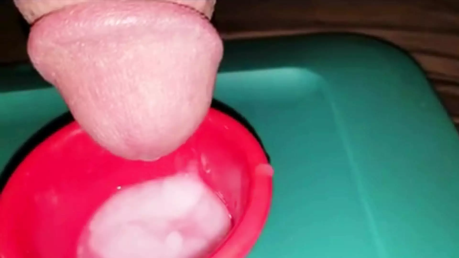 Cumshot Compilation 5 Gay Average Cock Amateur Porn Xhamster