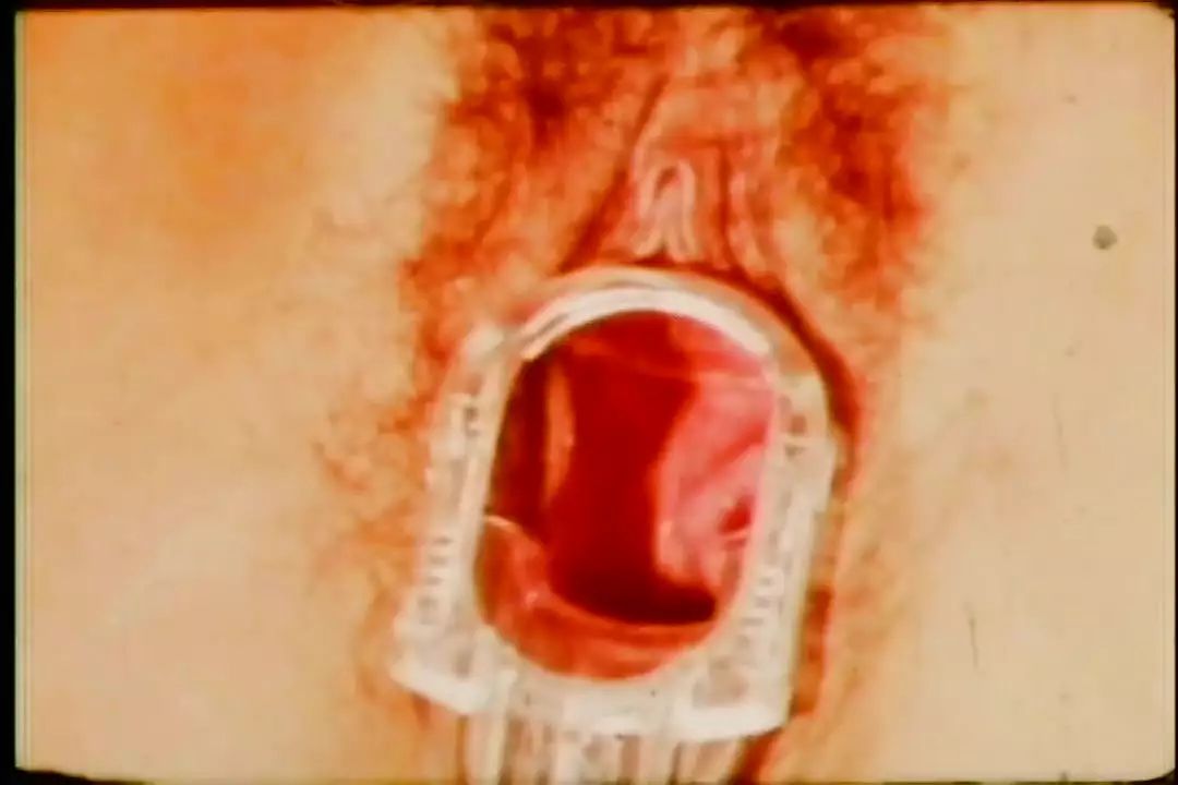 In Voller Länge R Bolla Hardcore Porno Videos Xhamster