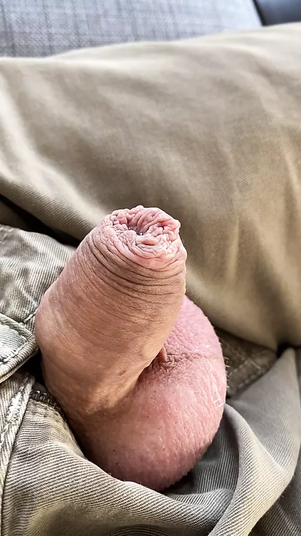 Measure Soft Little Dick Gay Muscular Muscular Porn Xhamster