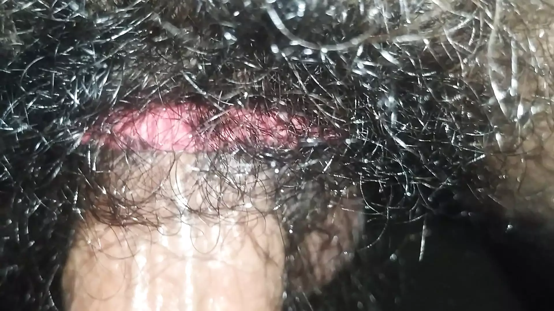 Oiled Straight Big Dick Arabian get a Cumshot: Moroccan Gay Big Cock Porn | xHamster