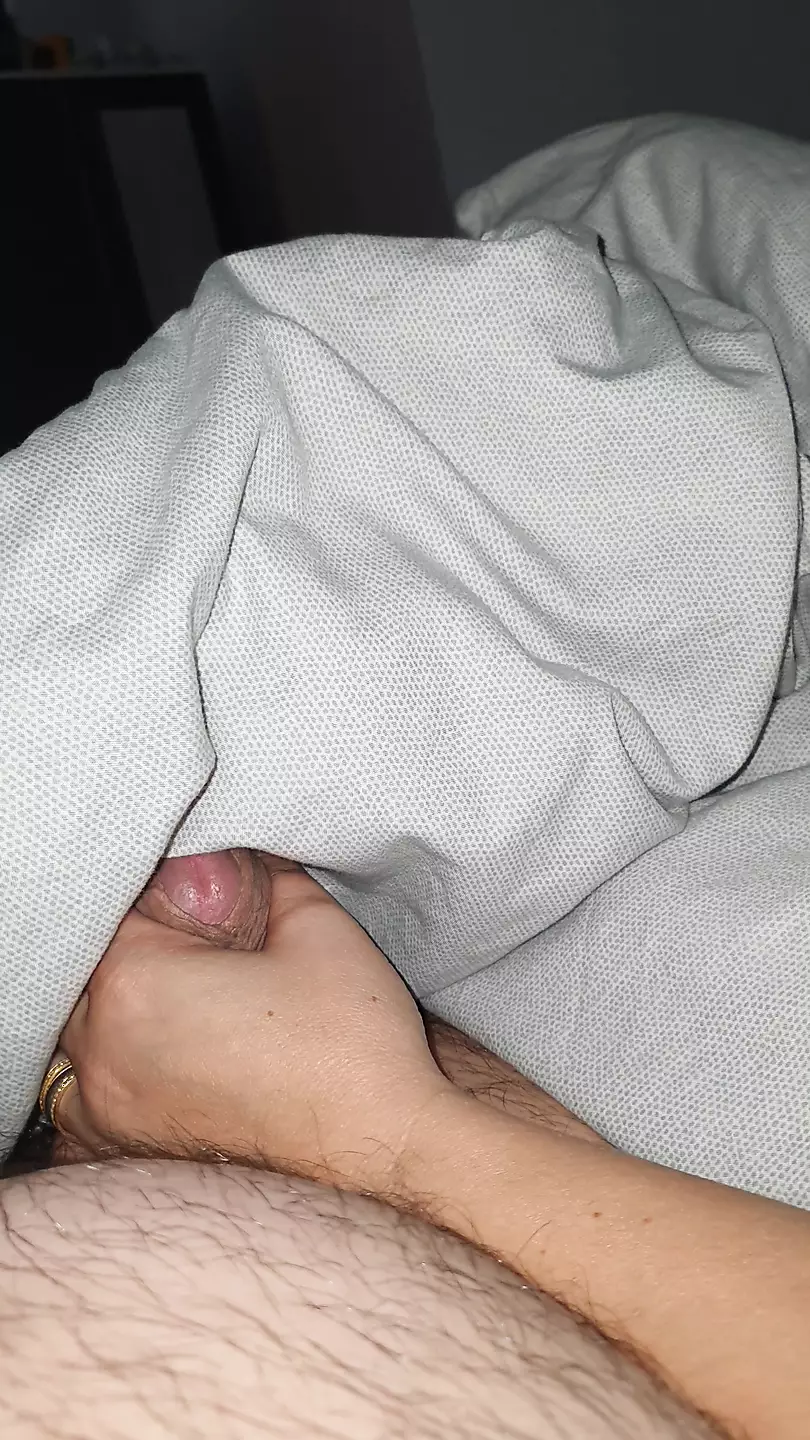 Free Under Blanket Porn Videos Xhamster