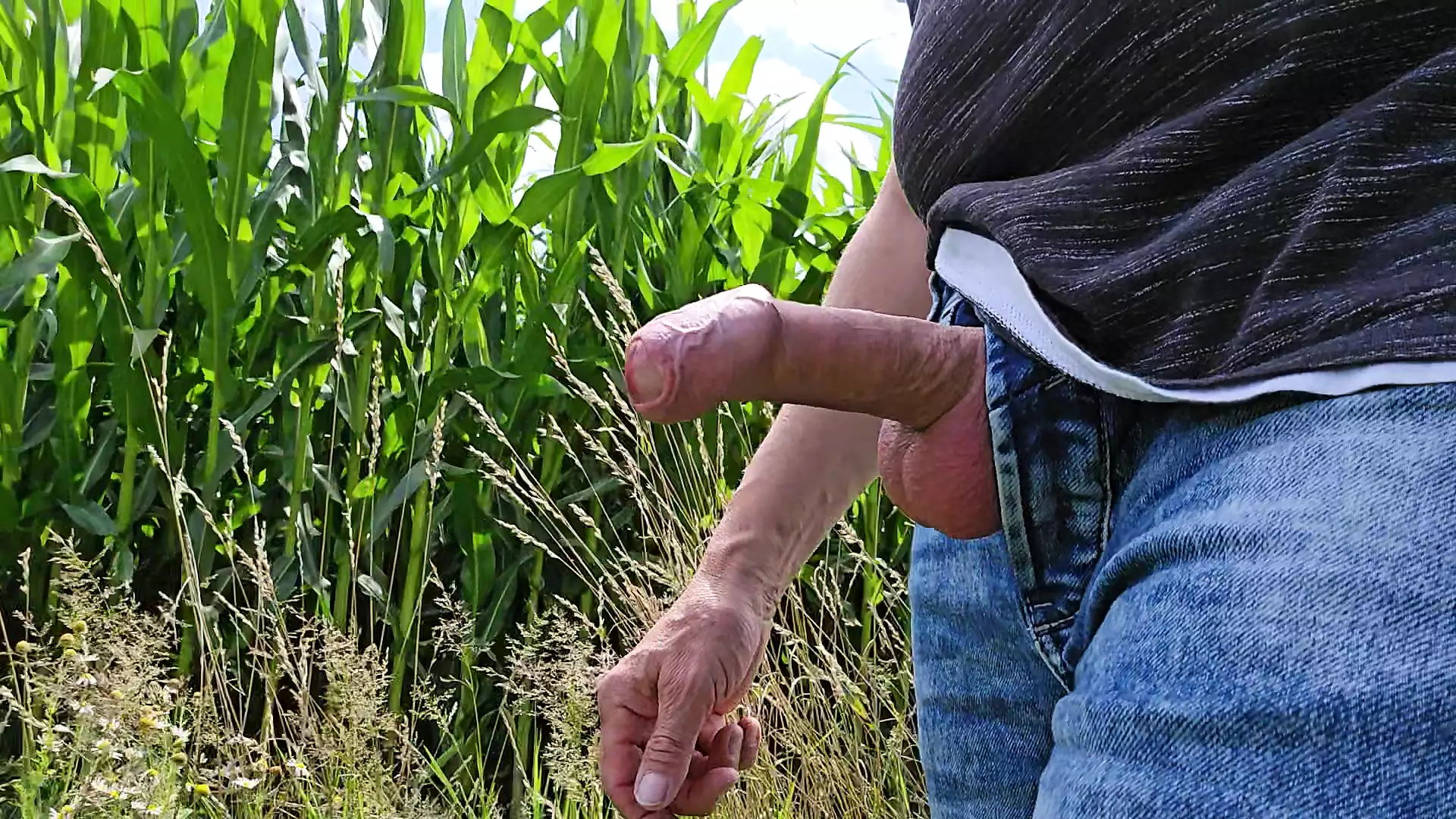 Einfach mal den Schwanz raus holen | xHamster