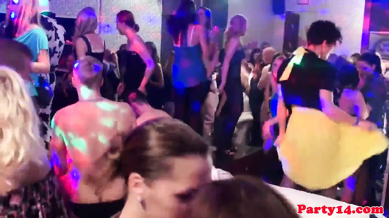 Echte Amateur Euro Schlampen In Orgie Xhamster