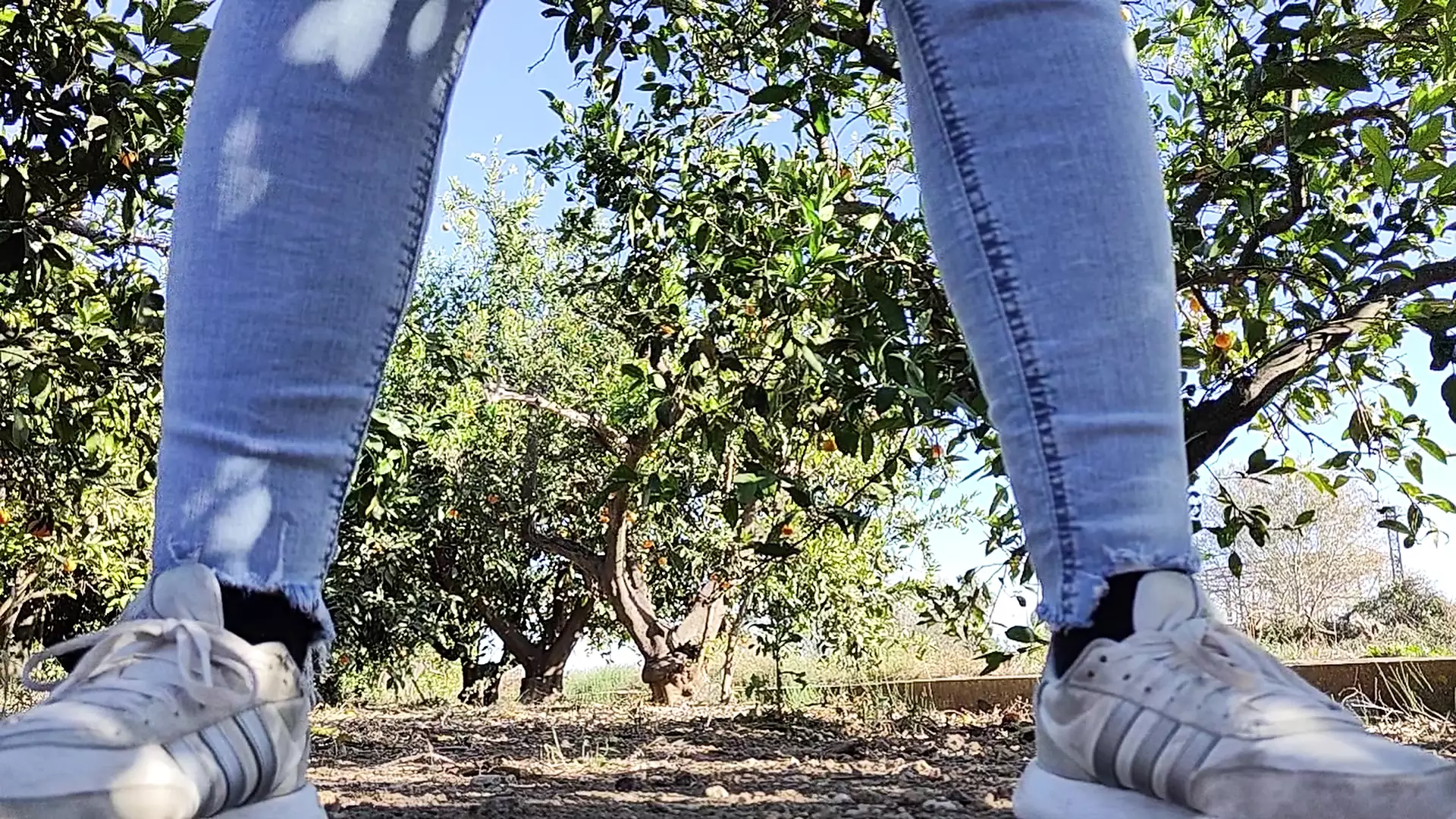 Natursekt-zusammenstellung an öffentlichen orten | xHamster