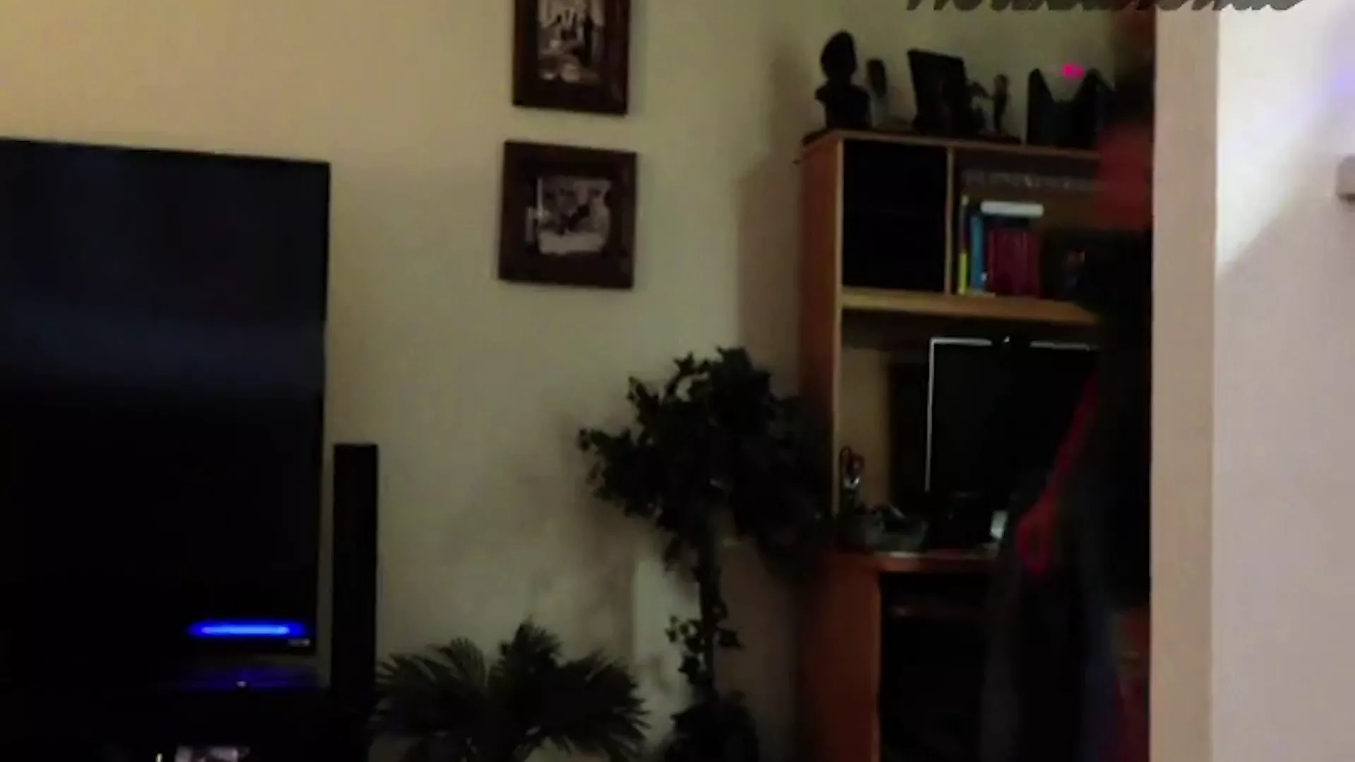 Sexo caseiro | xHamster