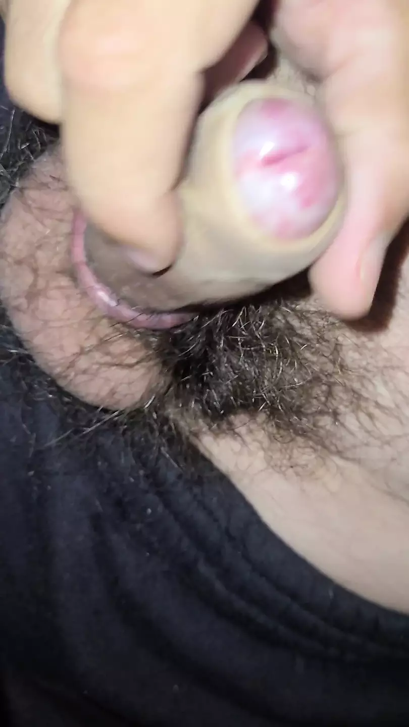 Owłosiona masturbacja kutasa | xHamster