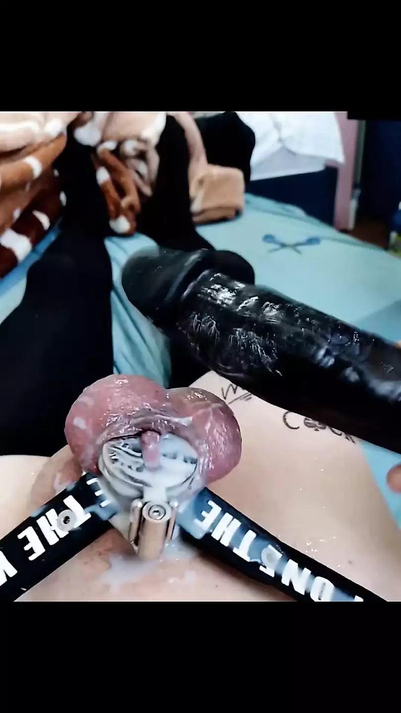 Trap Caged Orgasm Shemale Anal Masturbation Sissy Porn By Faphouse Xhamster