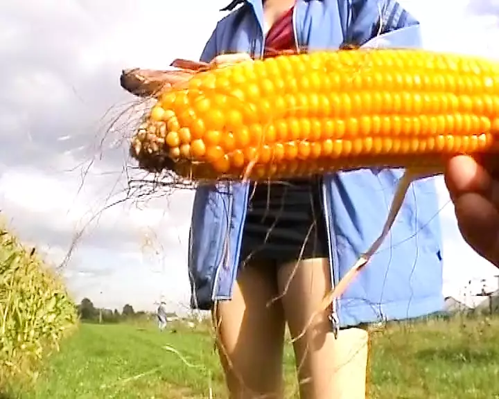 Stunning German Lady Stuffing A Corn In Her Moist Holes Amateur