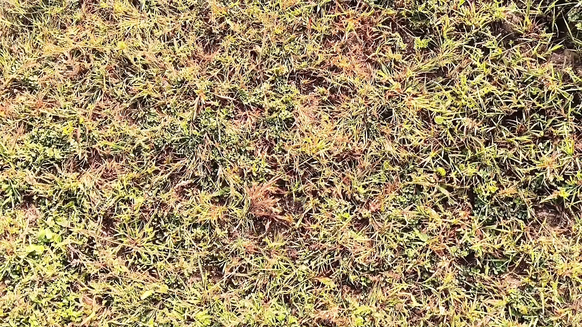 Une bhabhi du village indien se fait baiser brutalement dans la nature dans la jungle par son ...