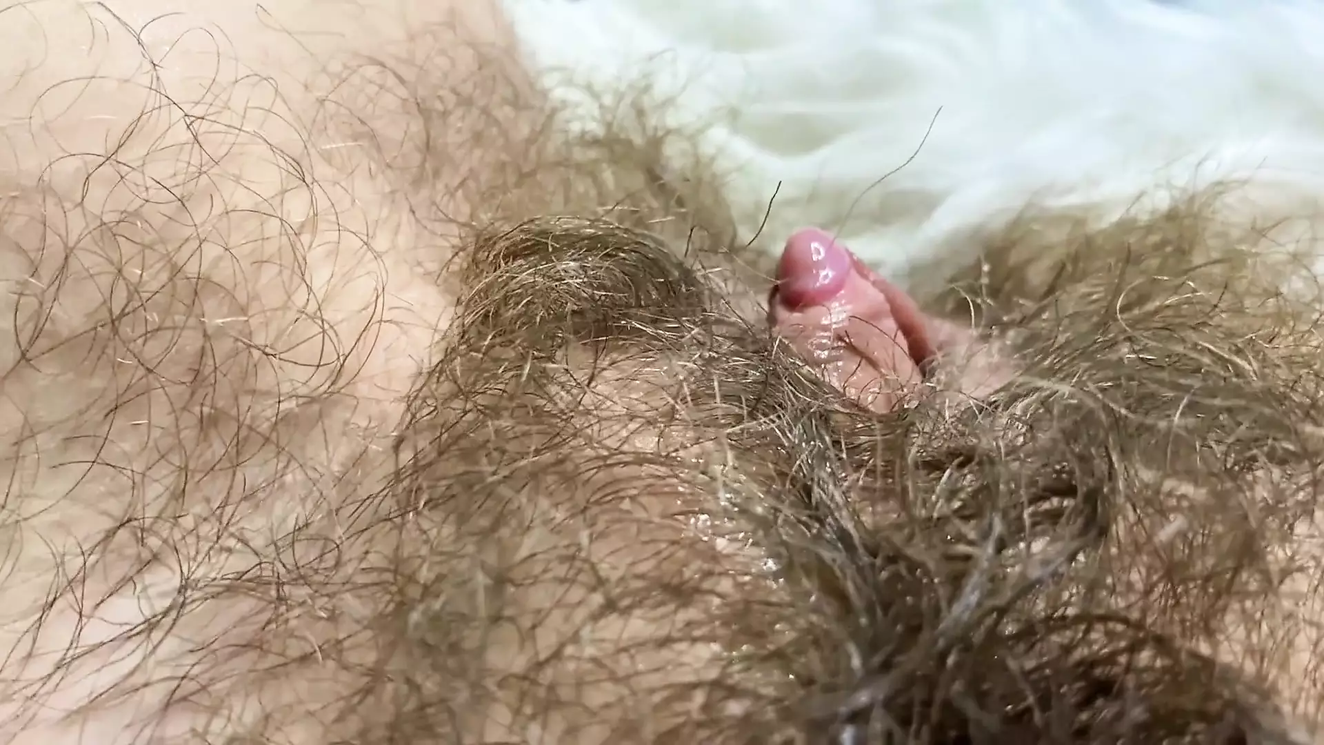 Un Vagin Avec Un énorme Clitoris En érection Se Fait Baiser Gros Orgasme Xhamster
