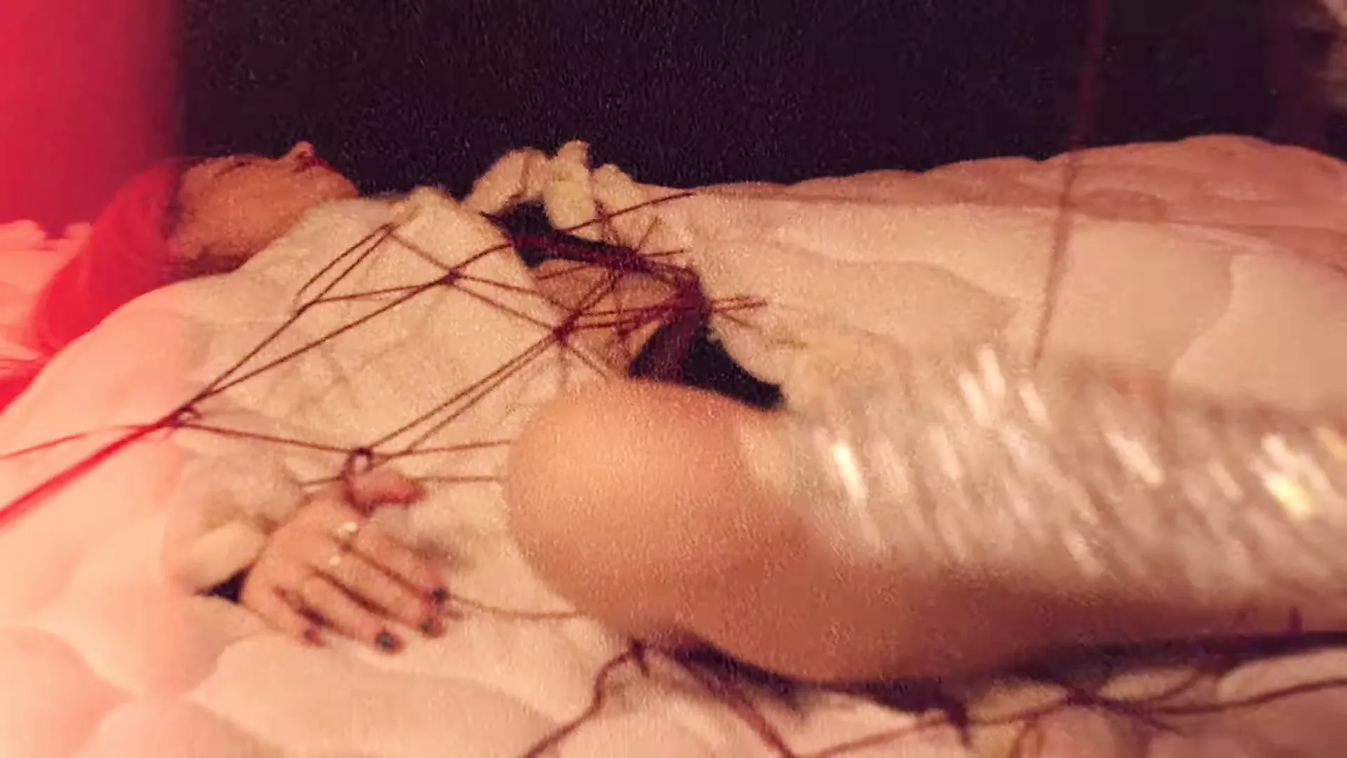 Bella Thorne Do Not Disturb American Perfect Body Big Tits Porn Xhamster