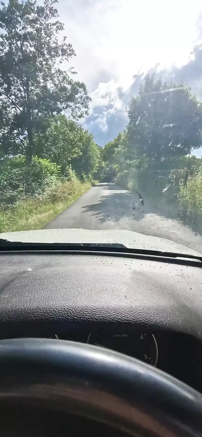 Sexe Dans La Voiture Avec Une Belle Inconnue Sexy Xhamster