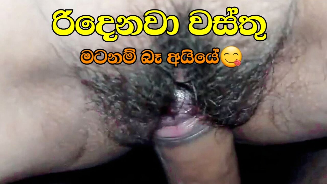 Sinhala Porn Videos Xhamster 5092