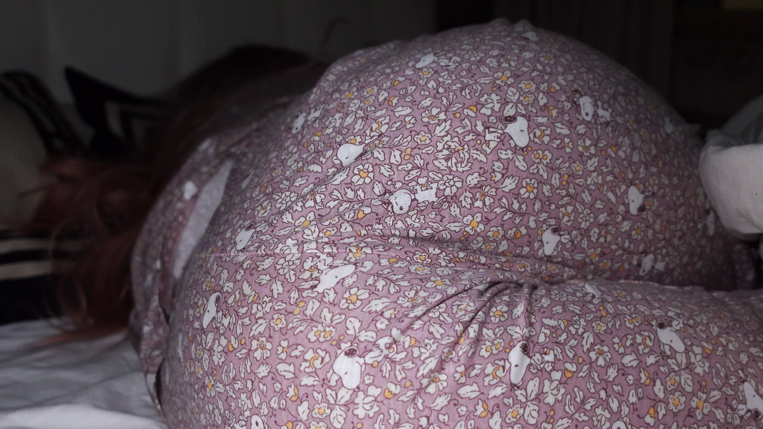 Free Good Night Porn Videos Xhamster 7372