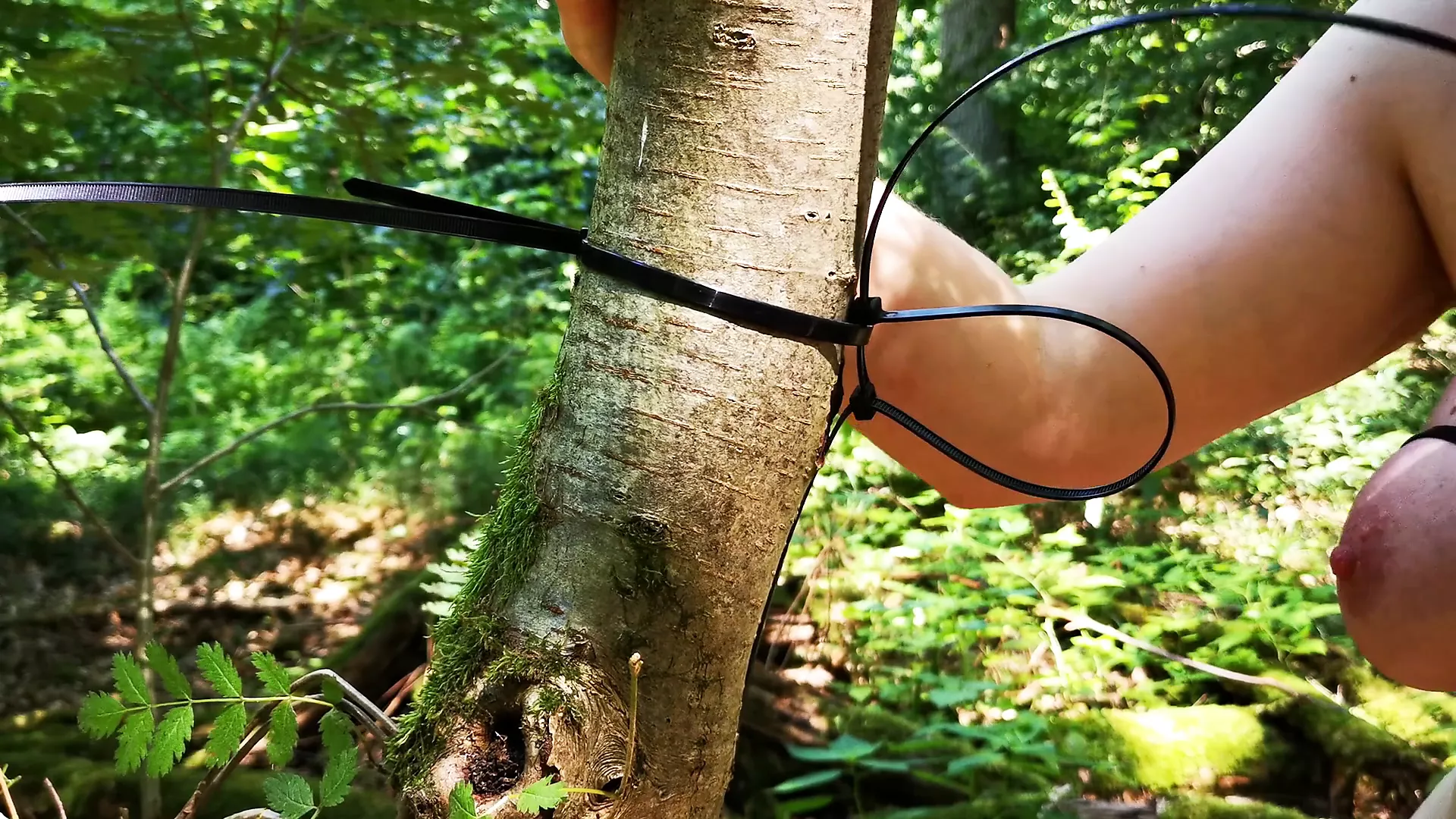 Busen An Den Baum Binden Und Auspeitschen Xhamster