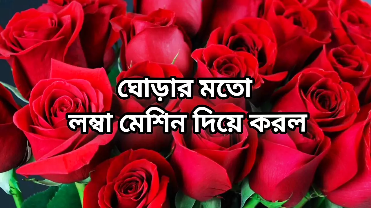 Bangla Choto Golpo New Hot Romantic Bangla Choti Full Story In Bangla 2835