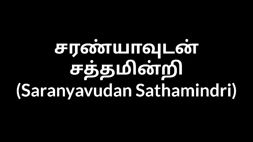Tamil Aunty How I Fucked My Lusty Aunty 1 Indian Bikini Porn Xhamster