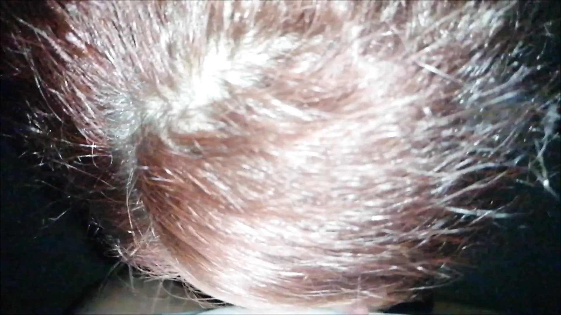 Free Homemade Amateur Milf Porn Videos 2 Xhamster 7102