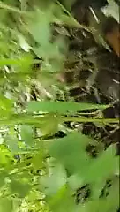 Une tatie indienne se fait baiser par la porte | xHamster