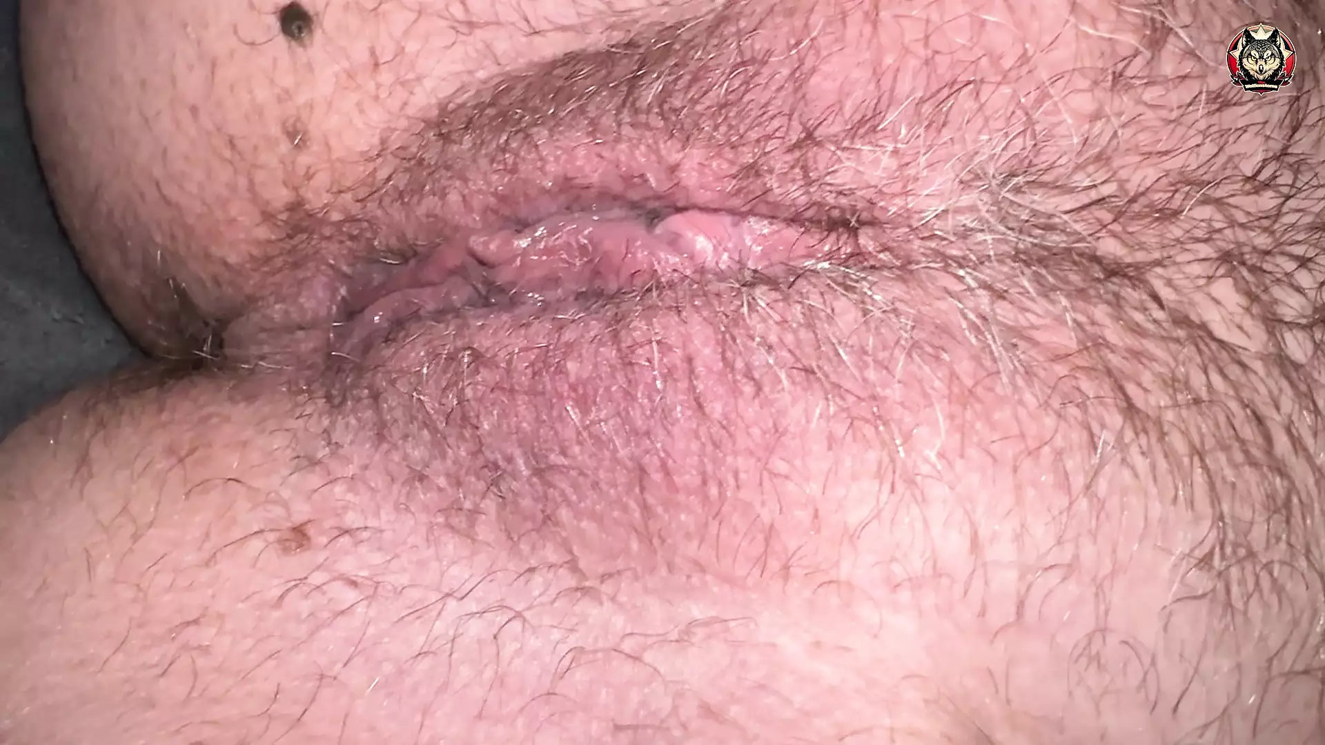 Hairy Pussy Ultra Closeup Creampie Fetish Porn Xhamster