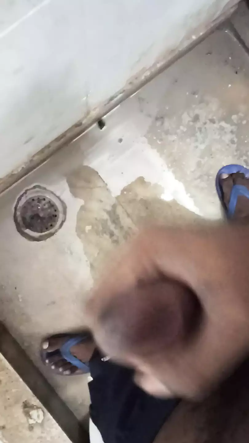 Shaking My Hand Pussy And Feeling Well Xhamster 3247