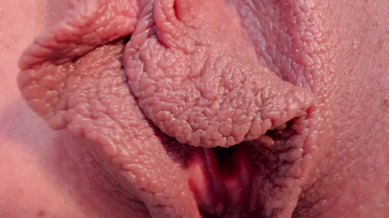 Chatte En Gros Plan Avec Extrêmement De Détails Xhamster