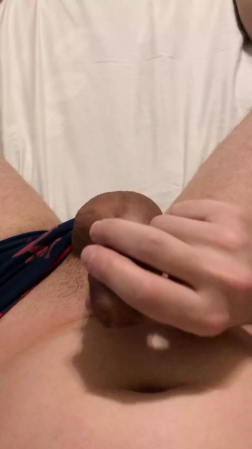 Großer pulsierender Schwanz | xHamster