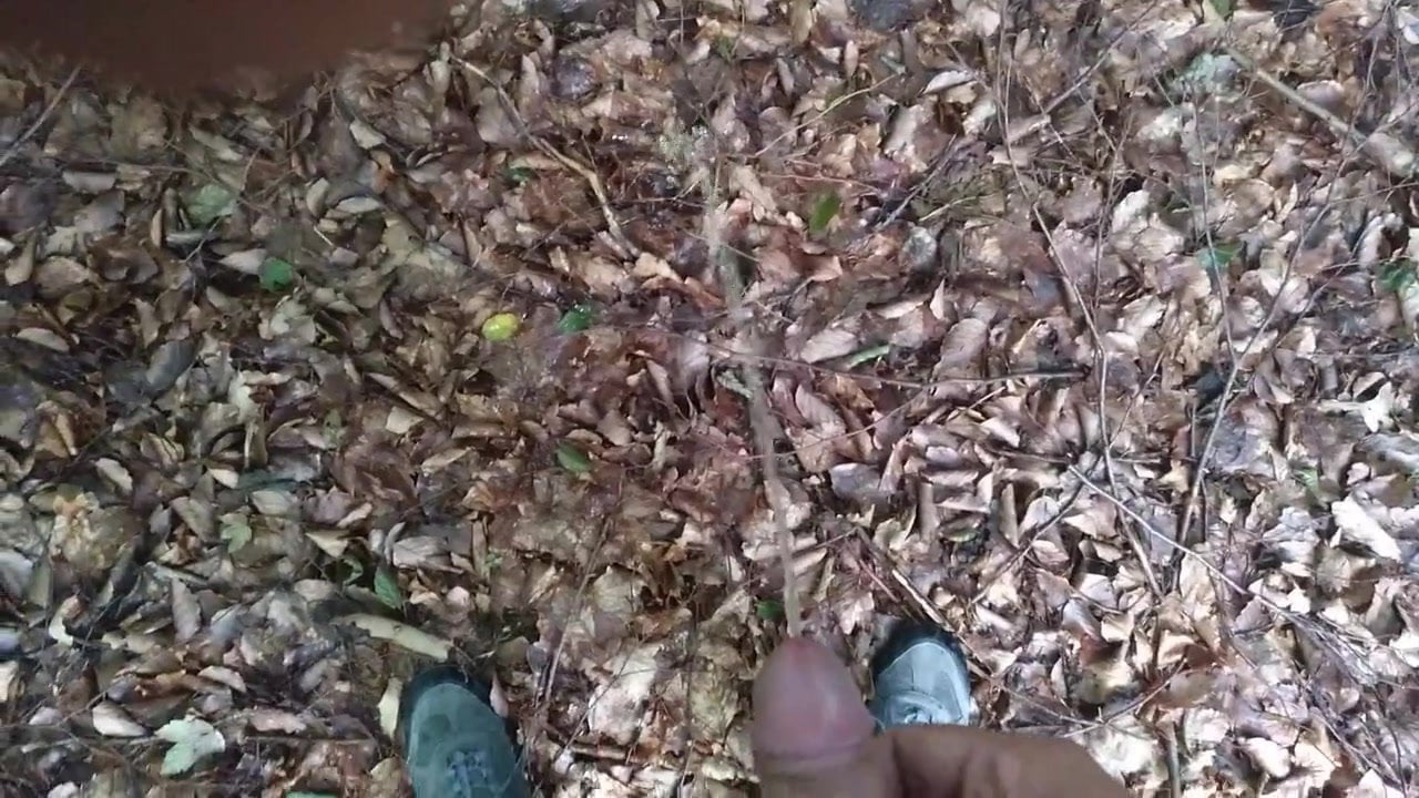 Me Pissing And Cumming In The Woods Gay Outdoor Porn Xhamster 5991