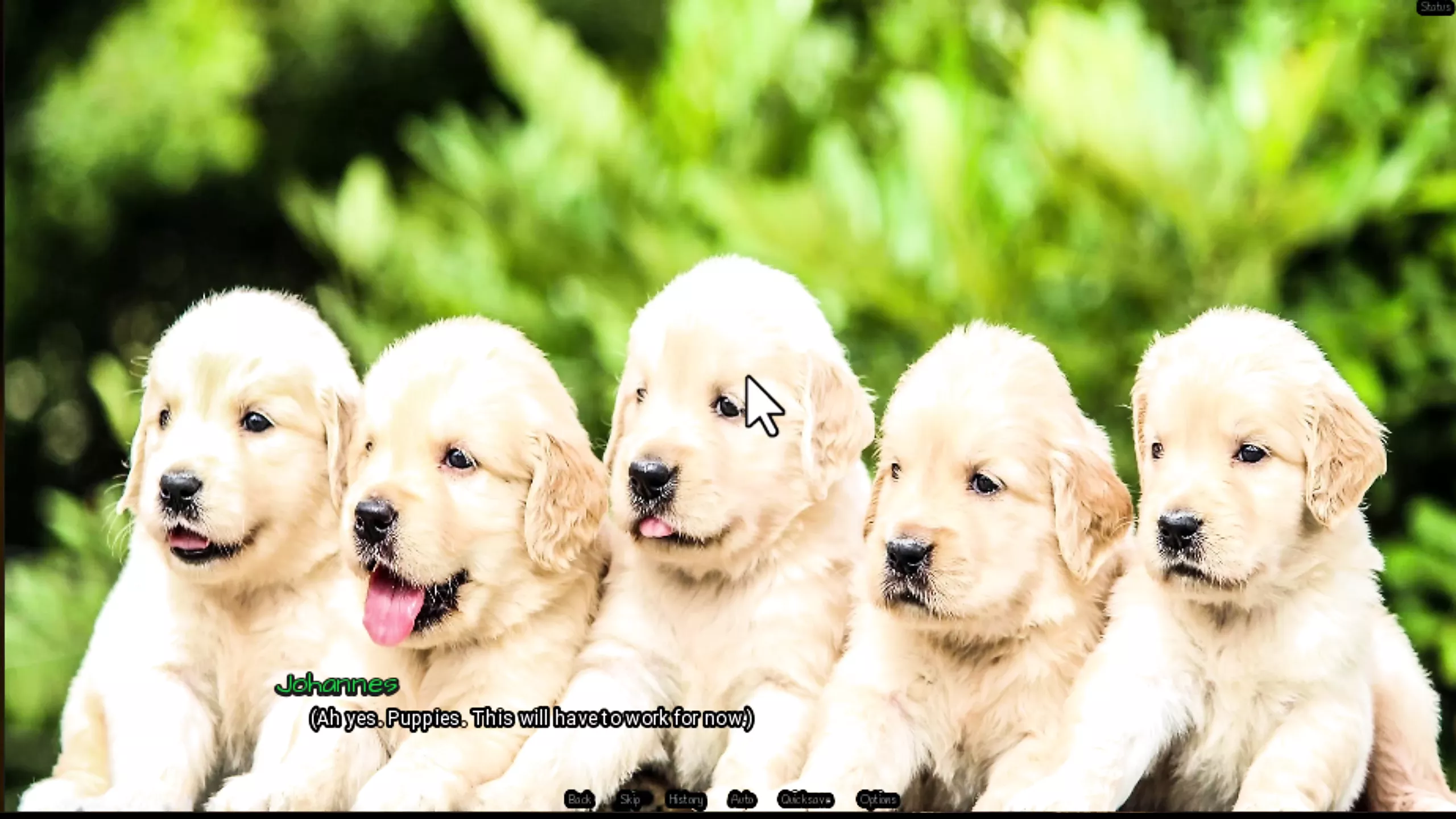 Radiant #9 섹시한 속옷을 샀어 | xHamster