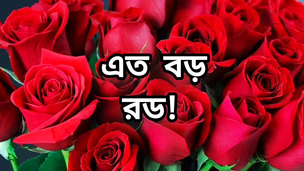 Bangla Choto Golpo Beautiful Mature Mom Cheating Hasband Full Story 6706